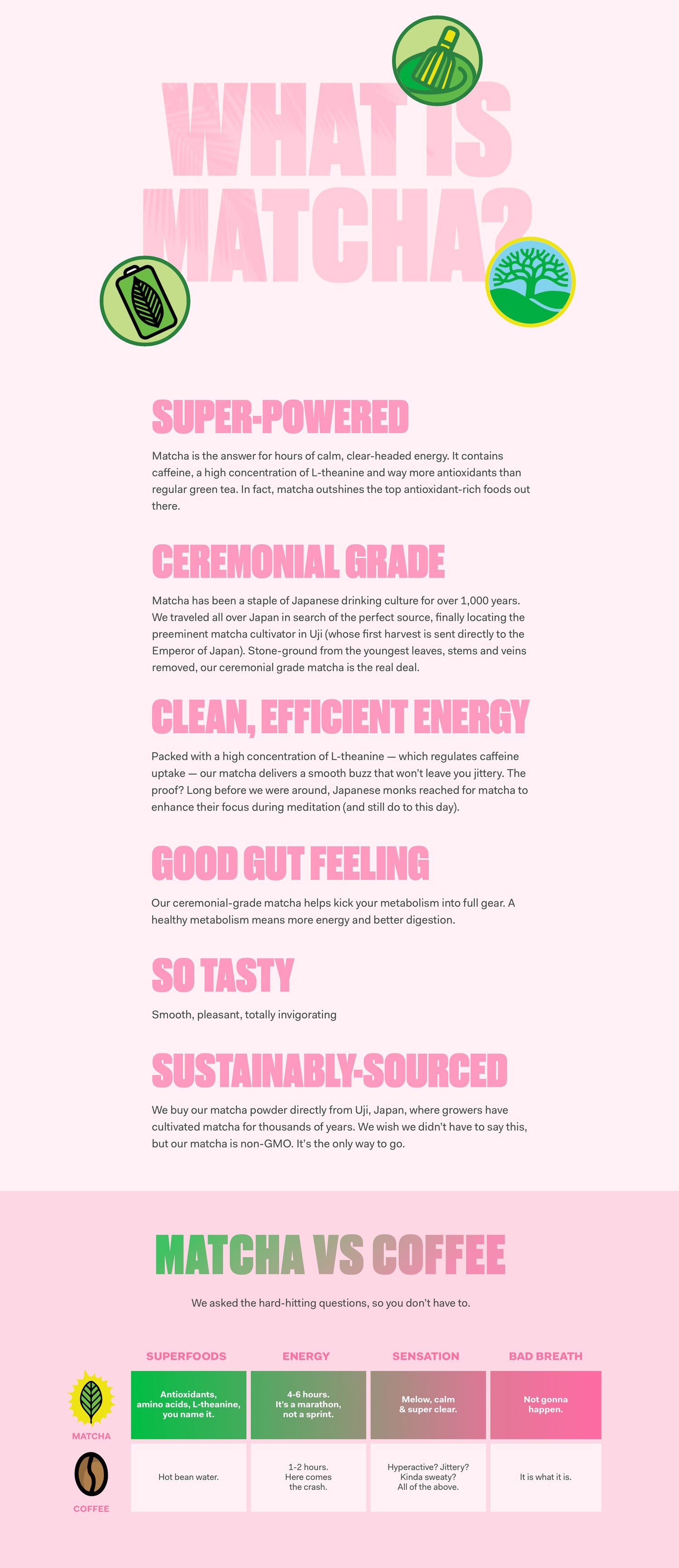 WHAT IS MATCHA – Cha Cha Matcha