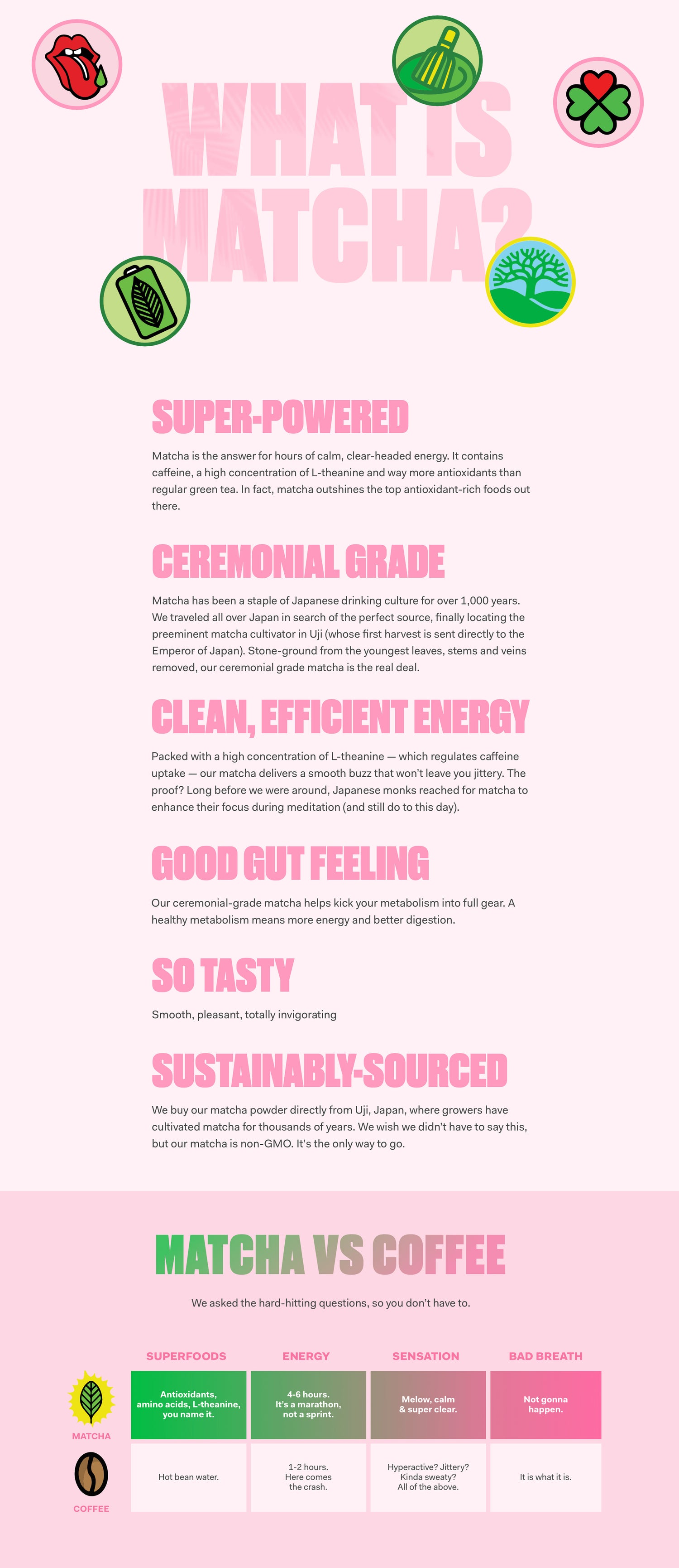 What is Matcha? – Cha Cha Matcha